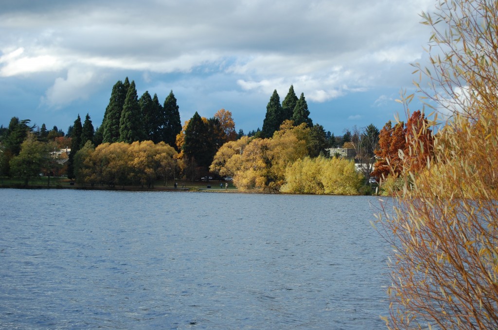 Seattle, Washington USA | Blue Mountain Feng Shui Institute