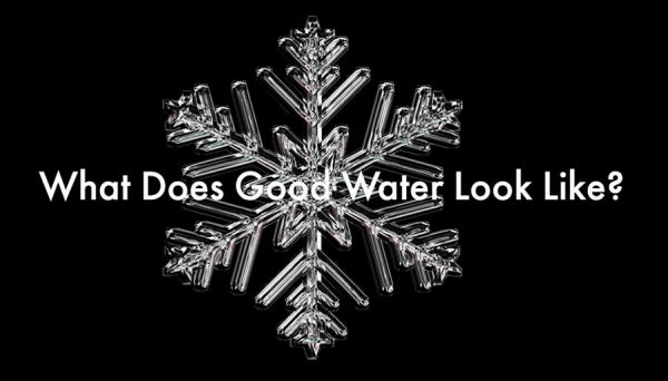 Dr Hsu Feng Shui Talk #44: What Does Good Water Look Like? | Blue ...